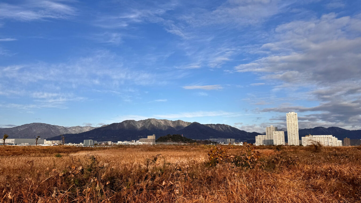 手作りケーキ – AWL Action