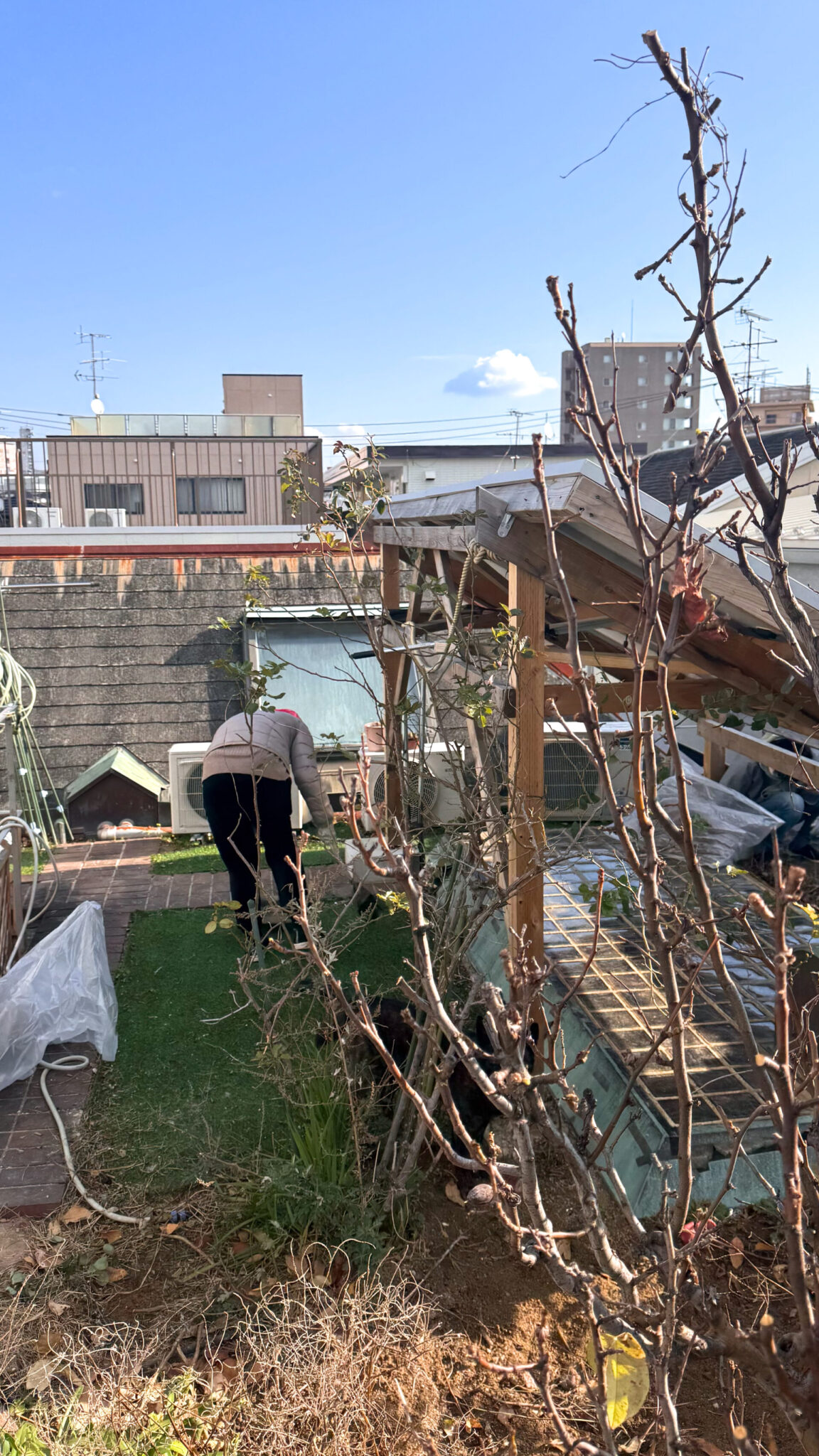 庭の片付け – AWL Action