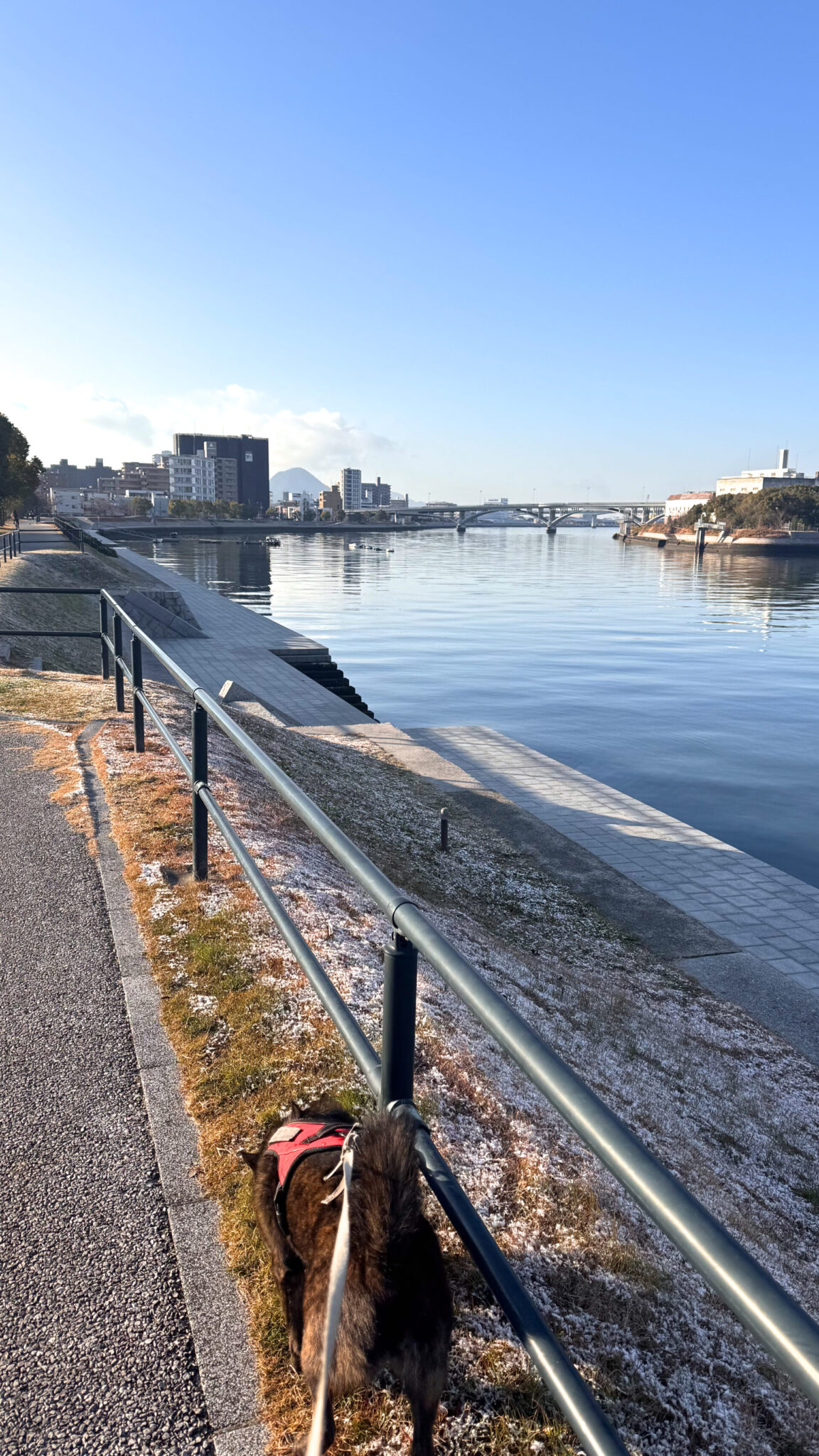 大雪警報の朝 – AWL Action