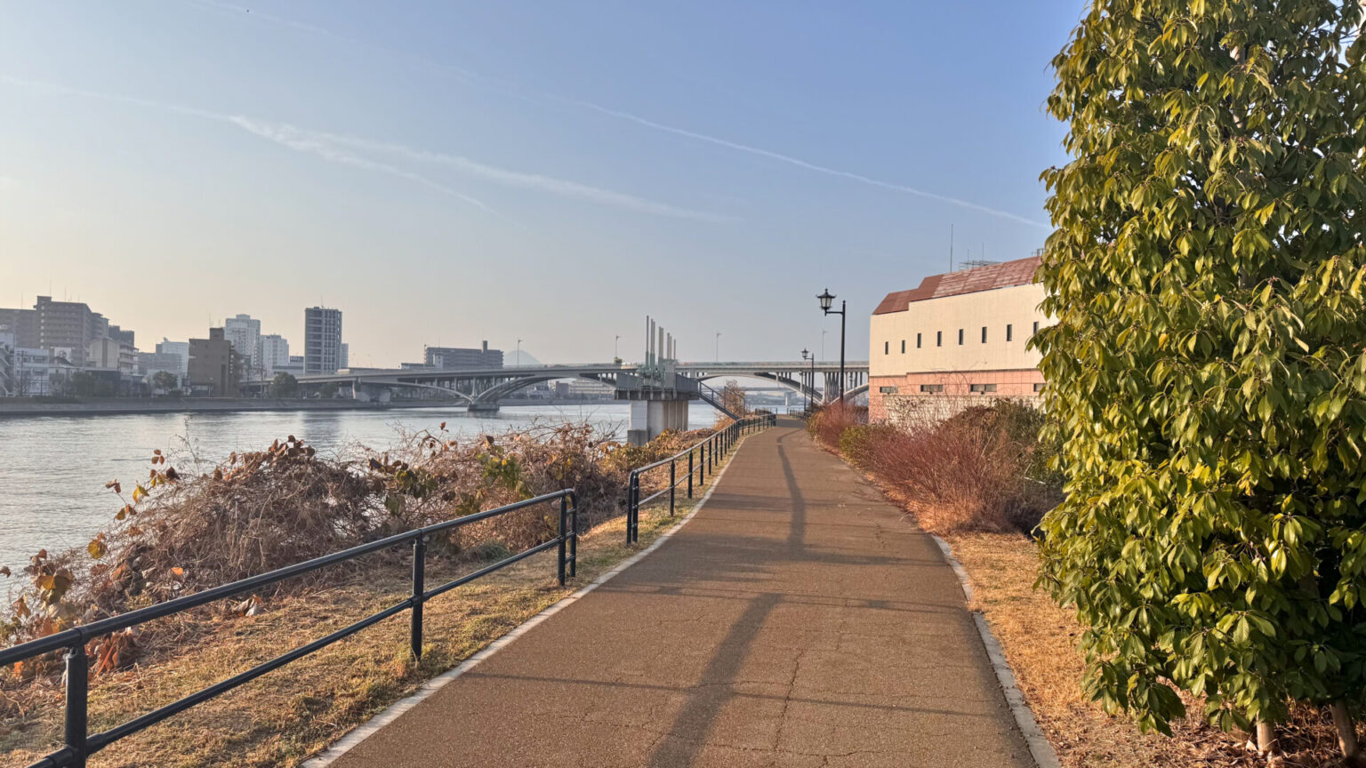 良い天気で散歩が気持ち良い – AWL Action